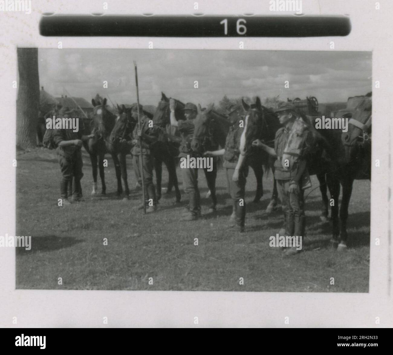 SS Photographer, Fritsch, Romania, Kavallerie, Russia 1943-44 Romanian ...
