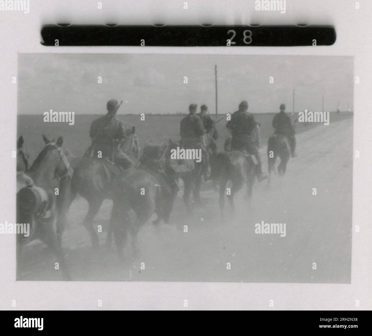 SS Photographer, Fritsch, Romania, Kavallerie, Russia 1943-44 Romanian ...