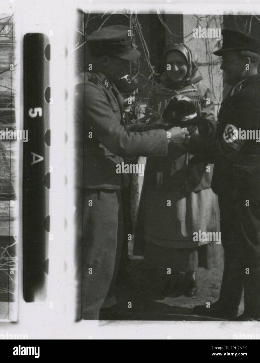 SS Photographer, Fritsch, Romania, Kavallerie, Russia 1943-44 Romanian ...