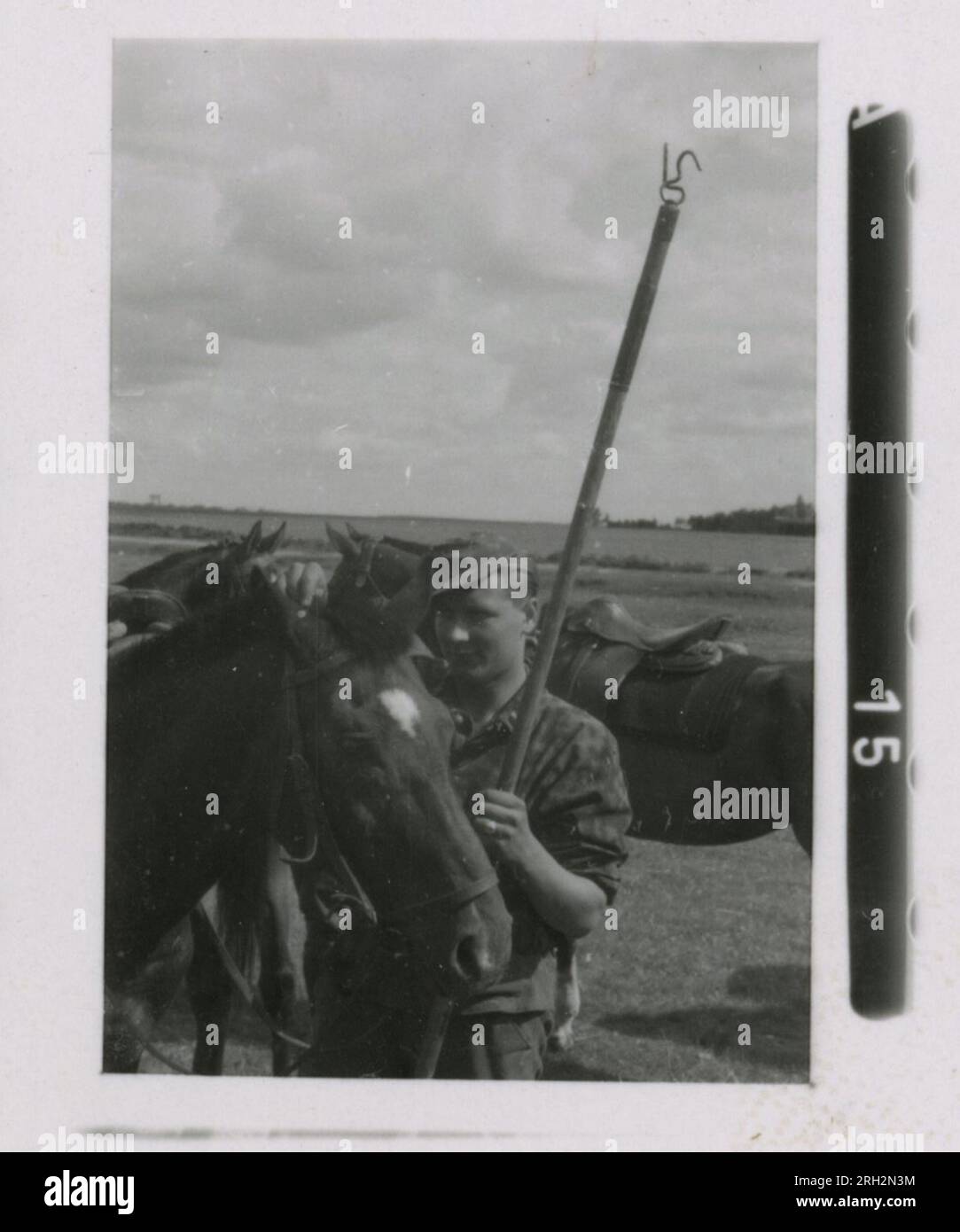 SS Photographer, Fritsch, Romania, Kavallerie, Russia 1943-44 Romanian ...