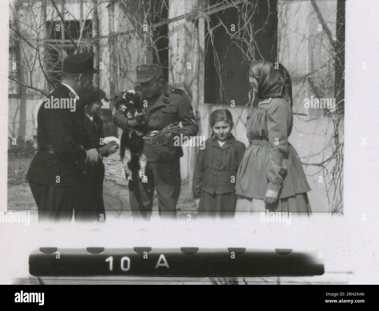SS Photographer, Fritsch, Romania, Kavallerie, Russia 1943-44 Romanian ...
