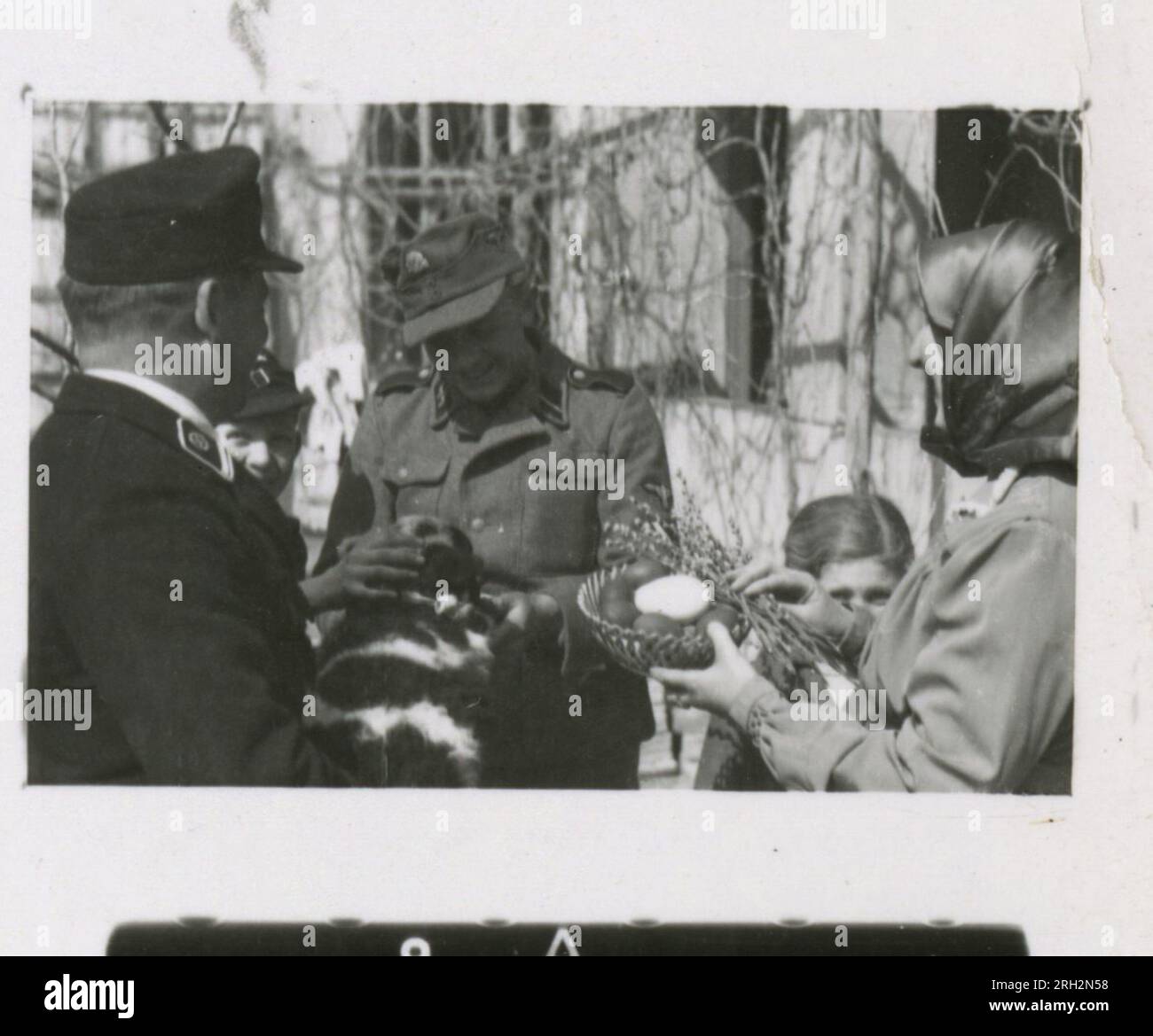 SS Photographer, Fritsch, Romania, Kavallerie, Russia 1943-44 Romanian ...
