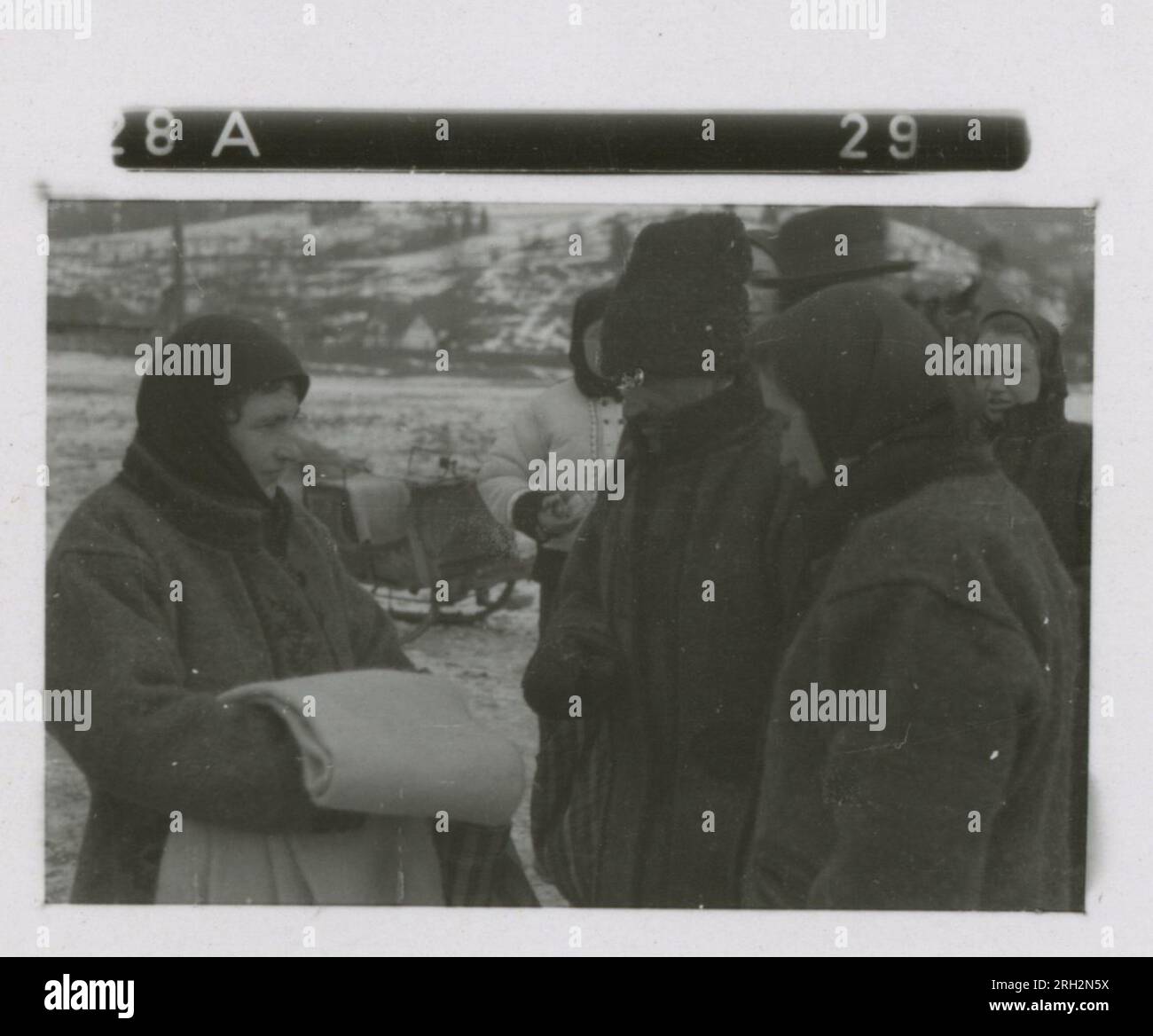 SS Photographer, Fritsch, Romania, Kavallerie, Russia 1943-44 Romanian ...