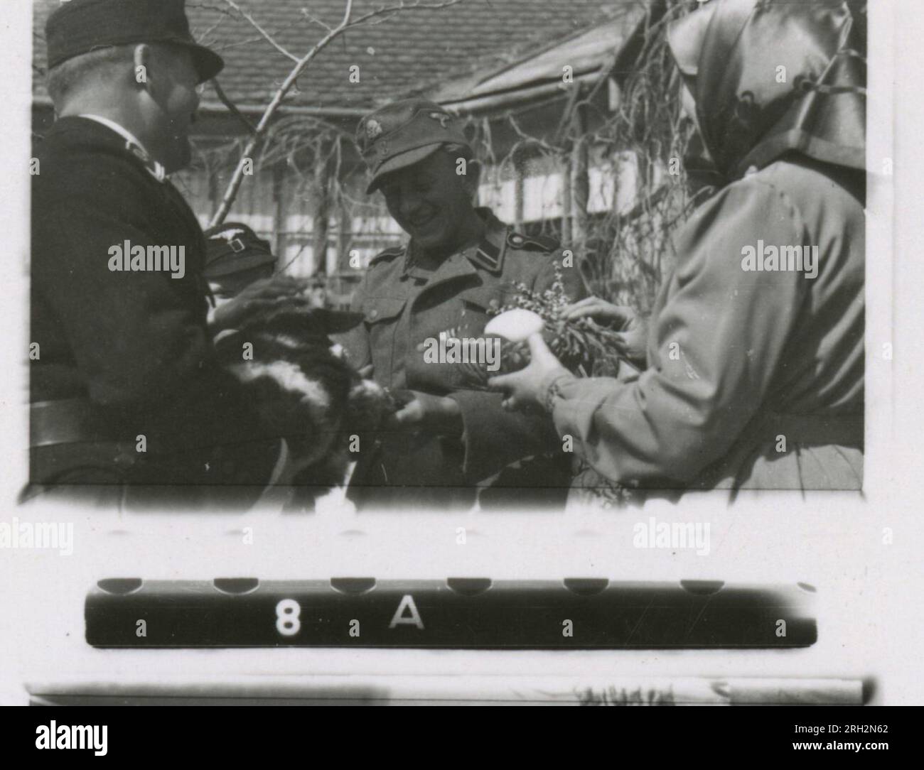 SS Photographer, Fritsch, Romania, Kavallerie, Russia 1943-44 Romanian ...