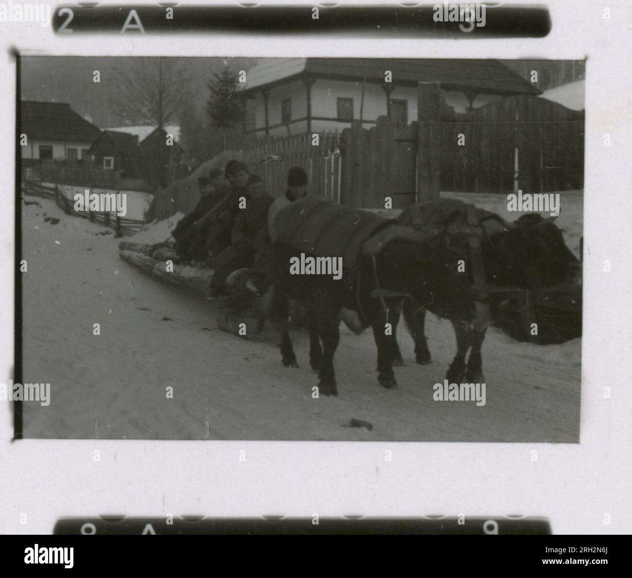 SS Photographer, Fritsch, Romania, Kavallerie, Russia 1943-44 Romanian ...