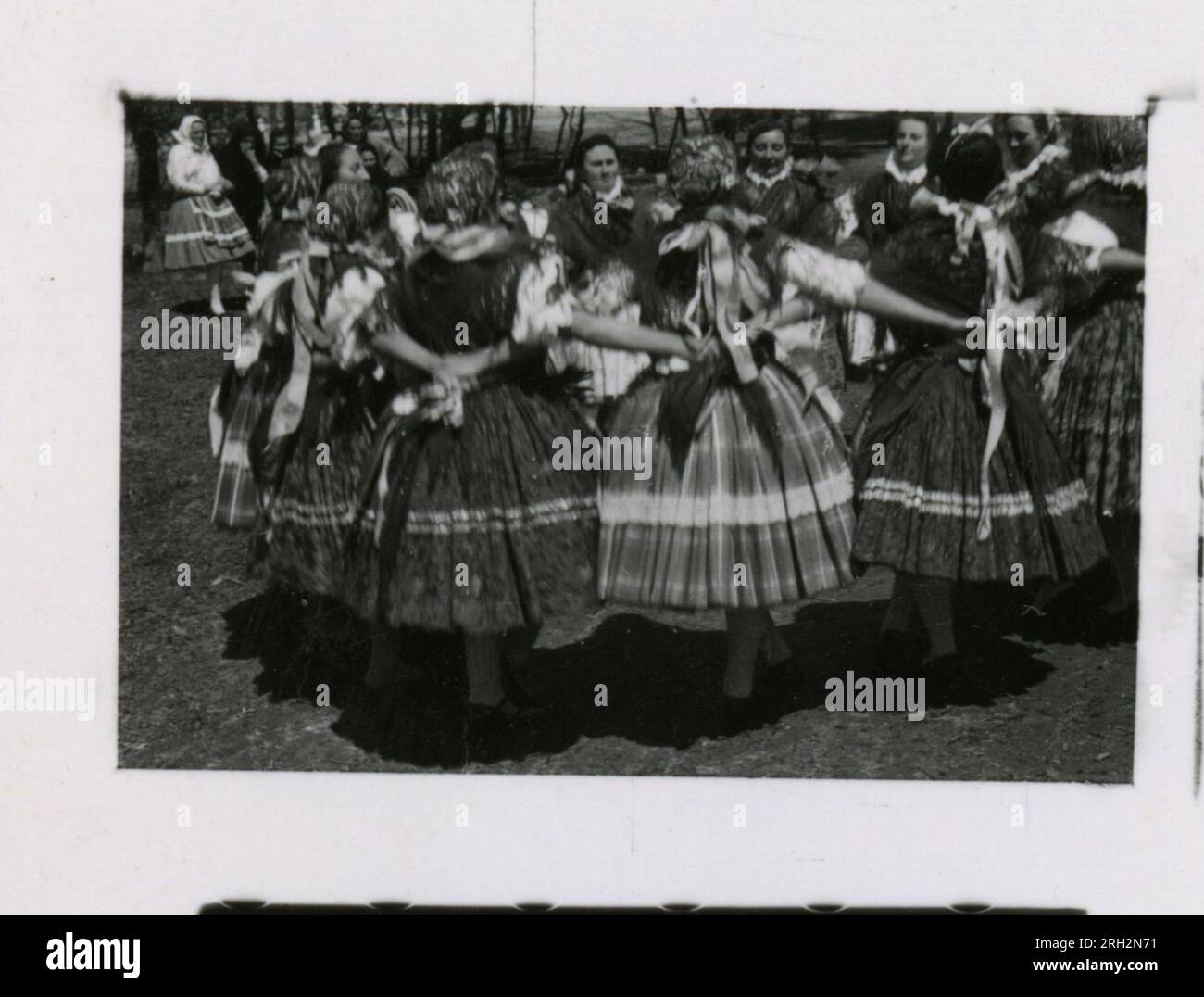 SS Photographer, Fritsch, Romania, Kavallerie, Russia 1943-44 Romanian ...