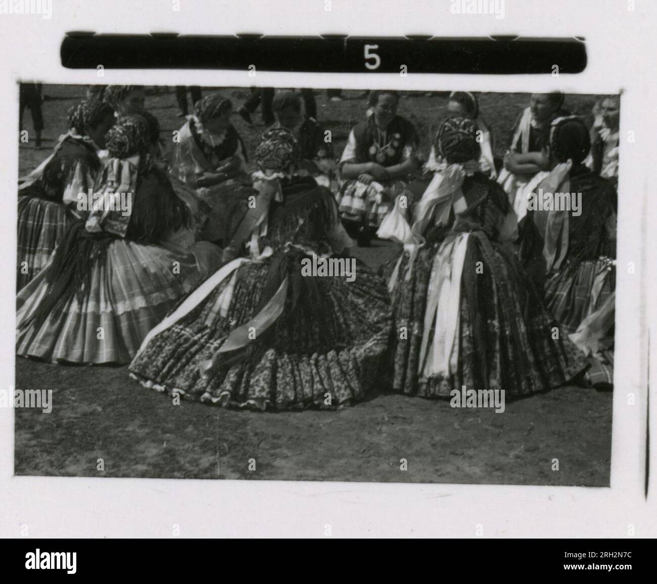 SS Photographer, Fritsch, Romania, Kavallerie, Russia 1943-44 Romanian ...