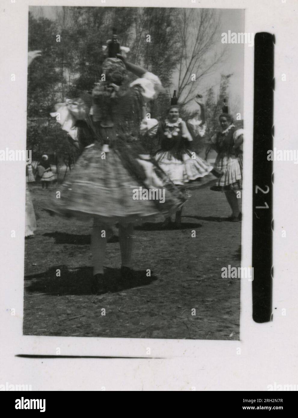 SS Photographer, Fritsch, Romania, Kavallerie, Russia 1943-44 Romanian ...