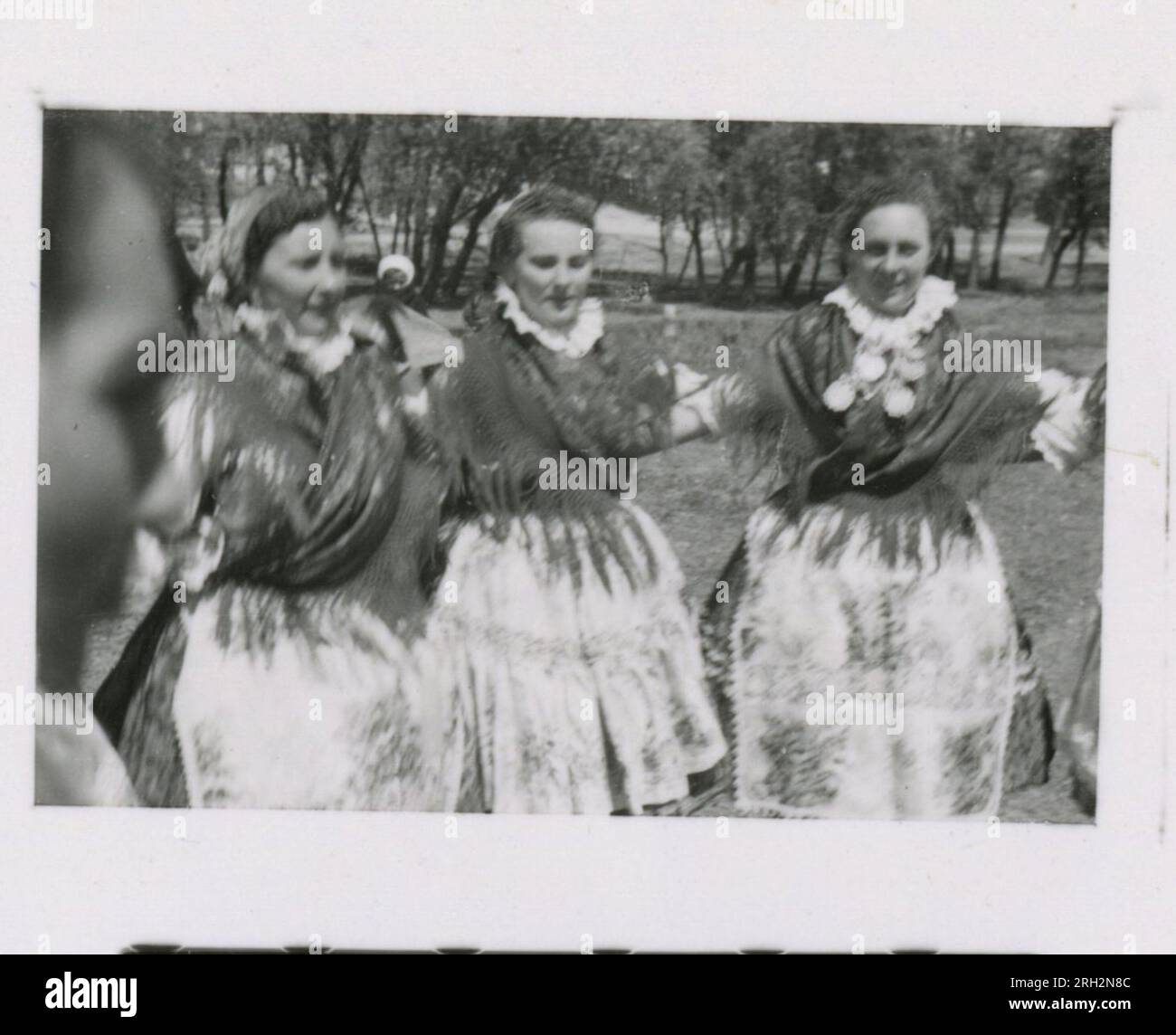 SS Photographer, Fritsch, Romania, Kavallerie, Russia 1943-44 Romanian ...