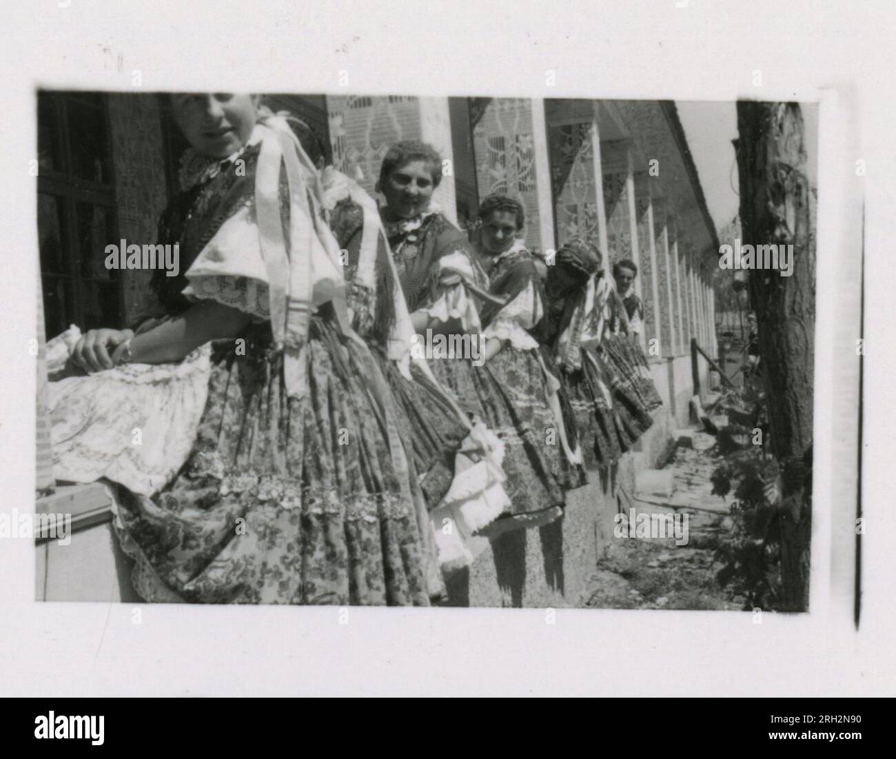 SS Photographer, Fritsch, Romania, Kavallerie, Russia 1943-44 Romanian ...