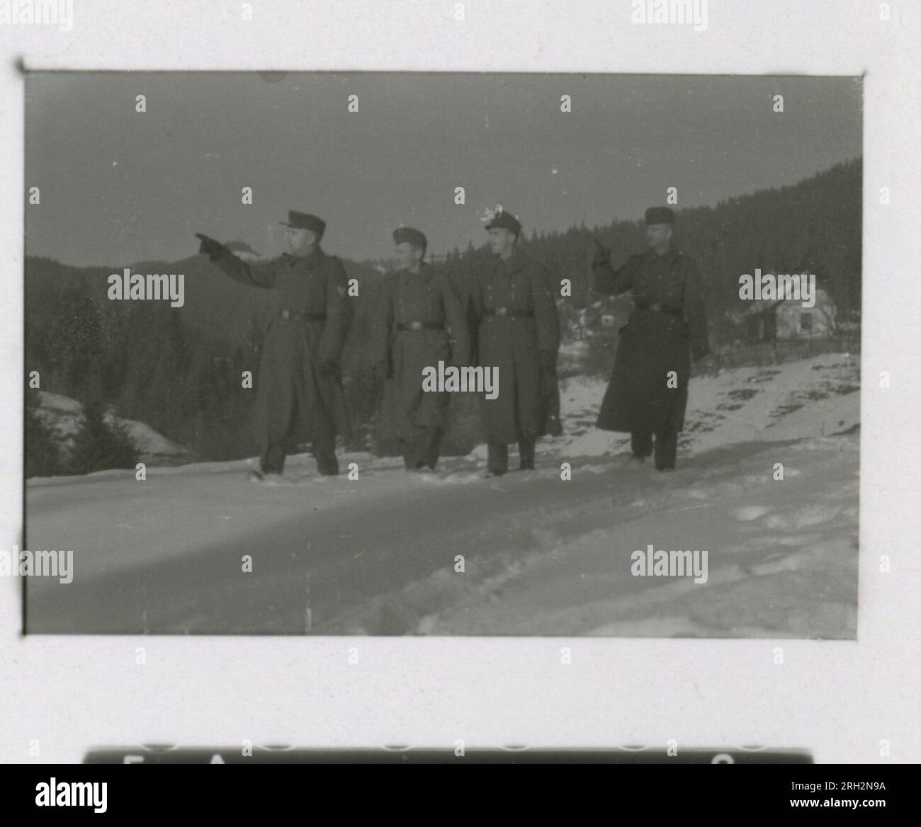 SS Photographer, Fritsch, Romania, Kavallerie, Russia 1943-44 Romanian ...