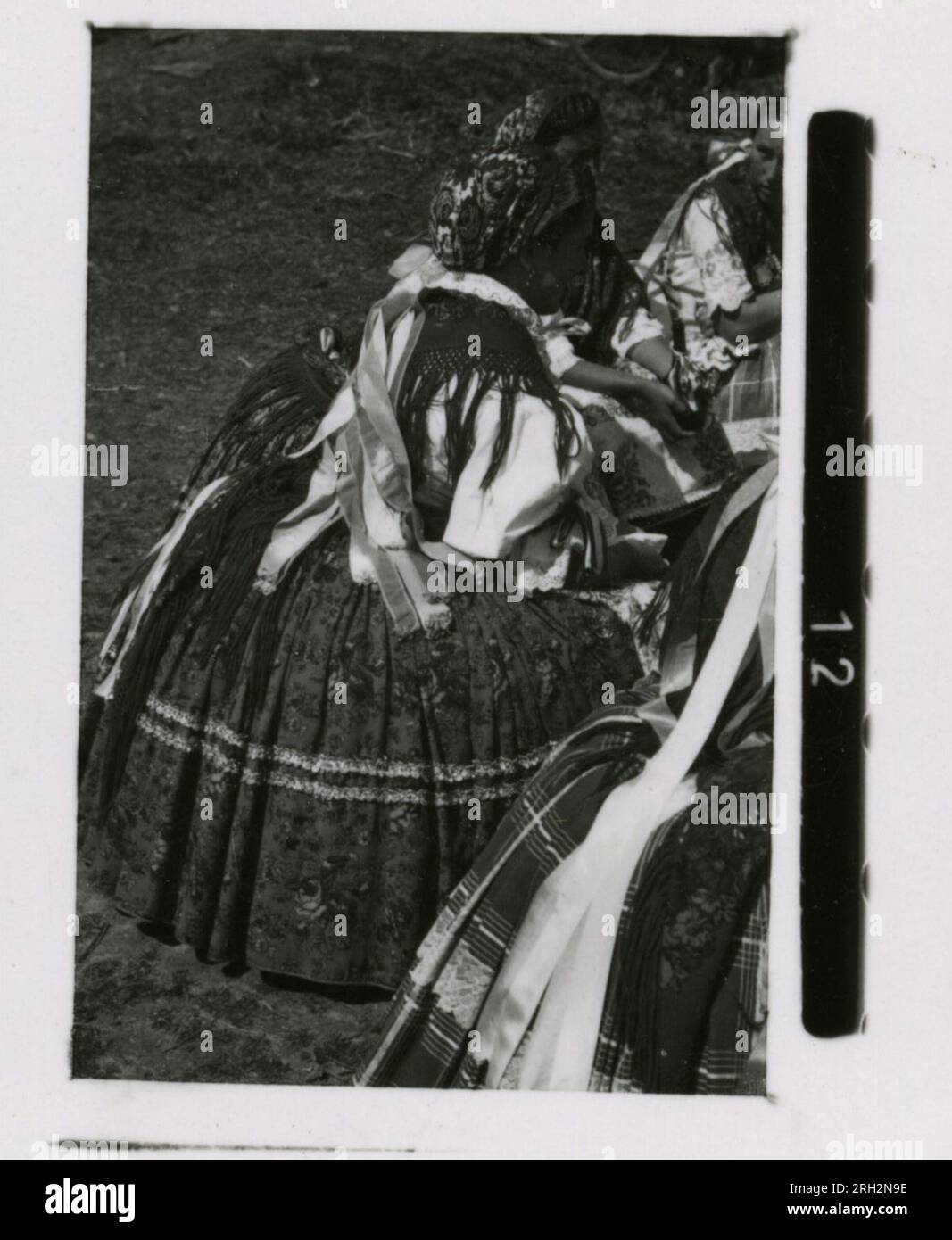 SS Photographer, Fritsch, Romania, Kavallerie, Russia 1943-44 Romanian ...