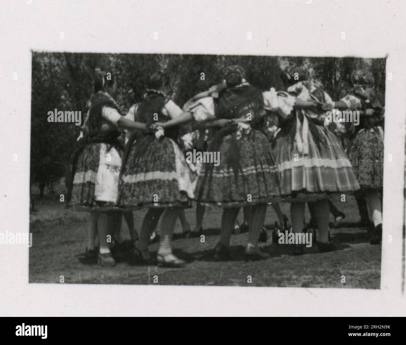 SS Photographer, Fritsch, Romania, Kavallerie, Russia 1943-44 Romanian ...