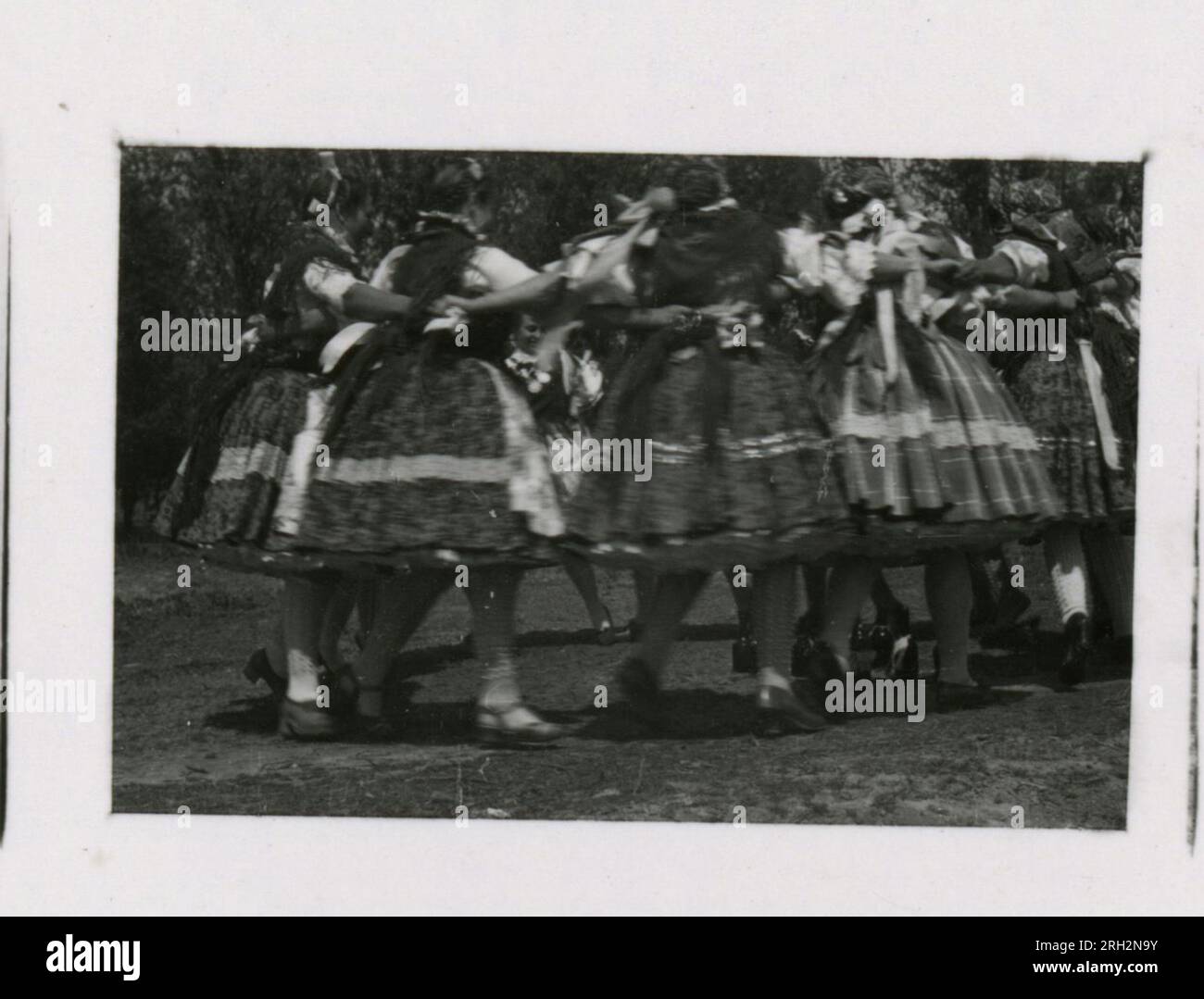 SS Photographer, Fritsch, Romania, Kavallerie, Russia 1943-44 Romanian ...