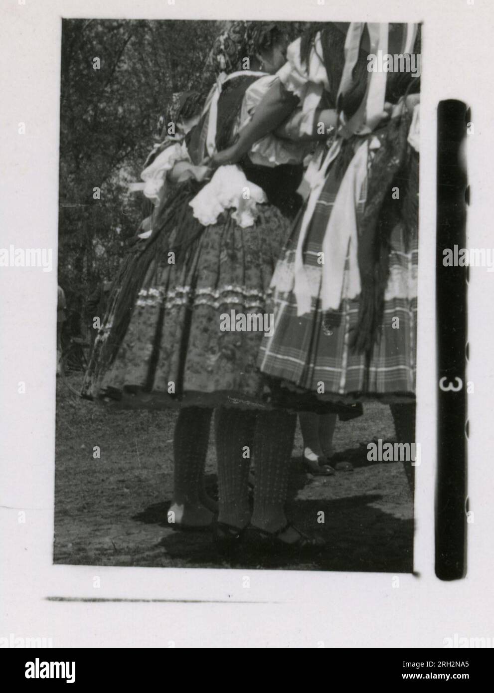SS Photographer, Fritsch, Romania, Kavallerie, Russia 1943-44 Romanian ...