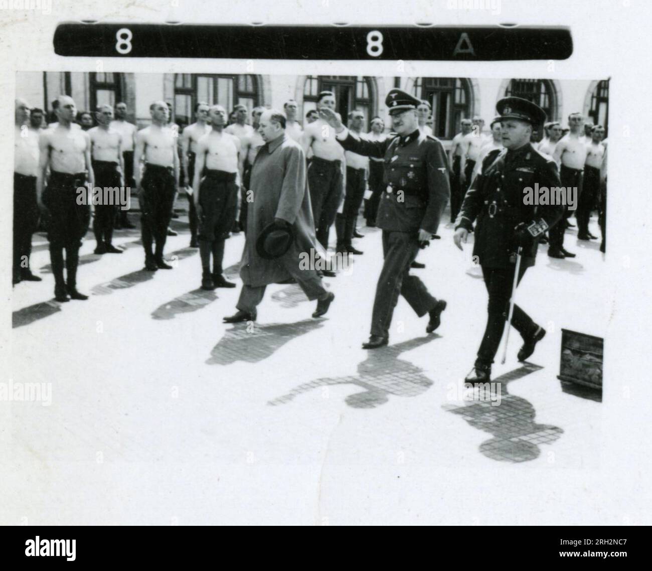 SS Photographer, Fritsch, Romania, Kavallerie, Russia 1943-44 Romanian ...