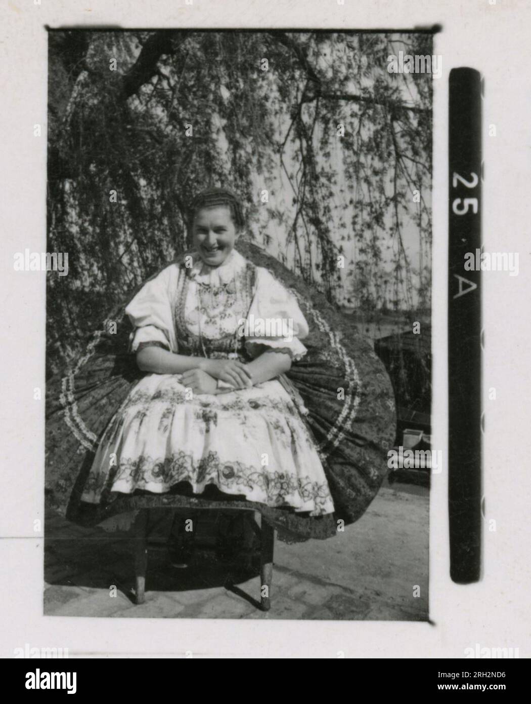 SS Photographer, Fritsch, Romania, Kavallerie, Russia 1943-44 Romanian ...