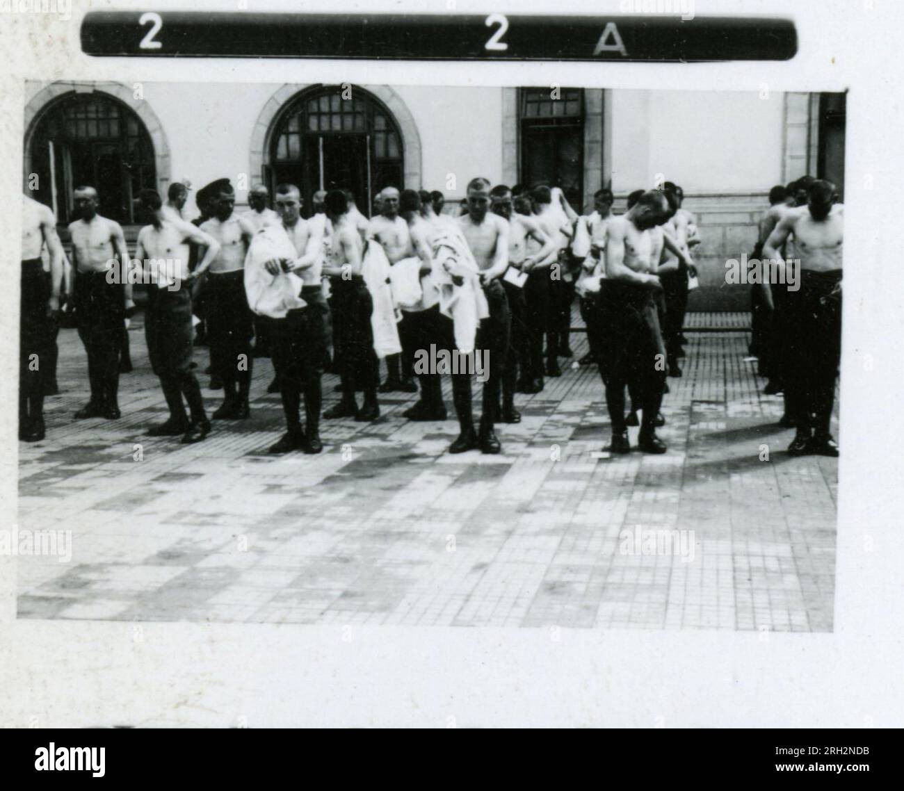 SS Photographer, Fritsch, Romania, Kavallerie, Russia 1943-44 Romanian ...