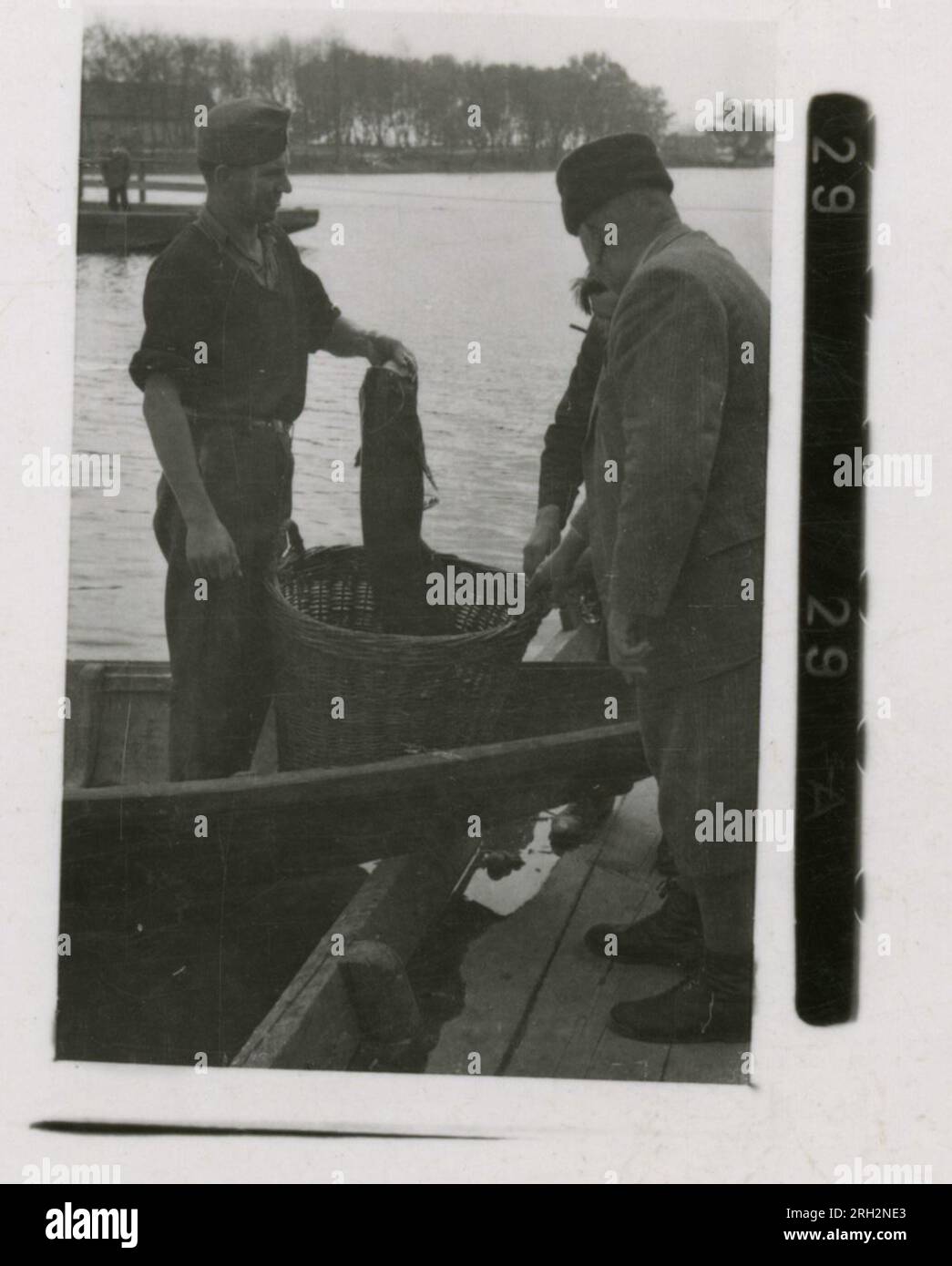 SS Photographer, Fritsch, Romania, Kavallerie, Russia 1943-44 Romanian ...