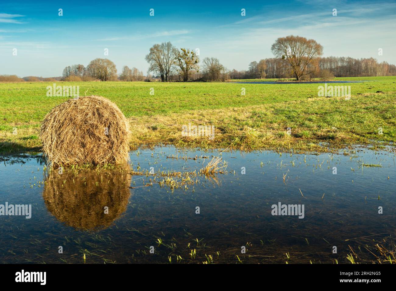 Bale production hi-res stock photography and images - Alamy