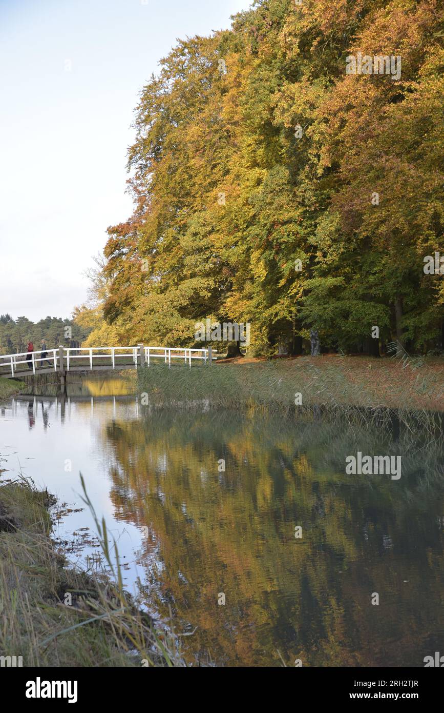 Splendor of colors hi-res stock photography and images - Alamy