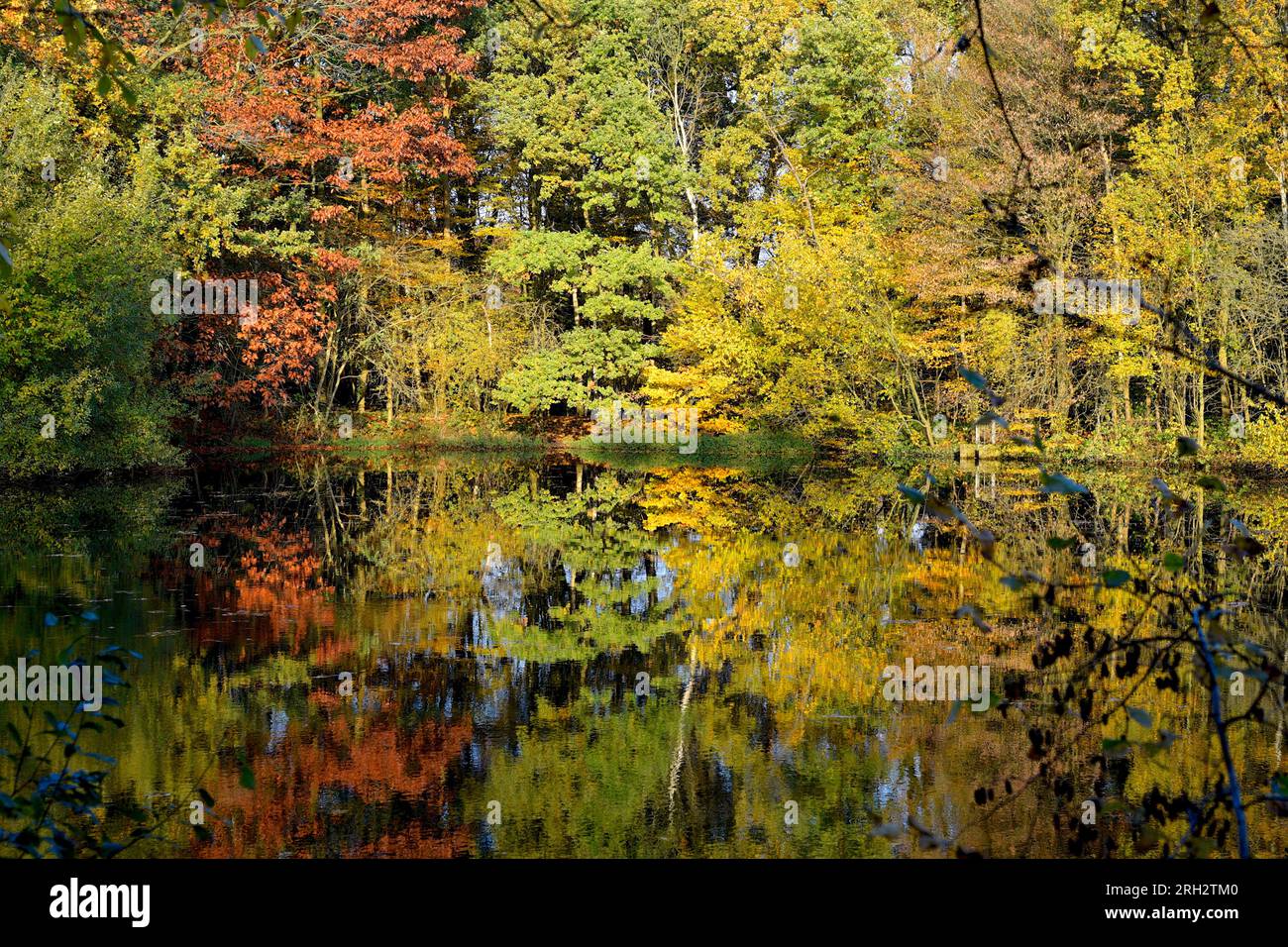 Splendor of colors hi-res stock photography and images - Alamy