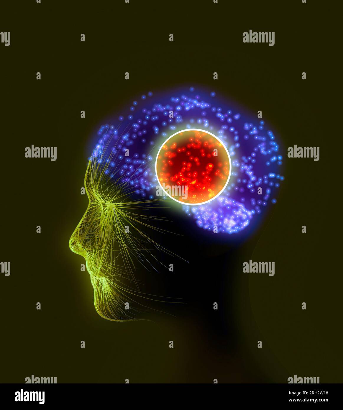 Neurology, philosophy: connections, the development of thought and ...