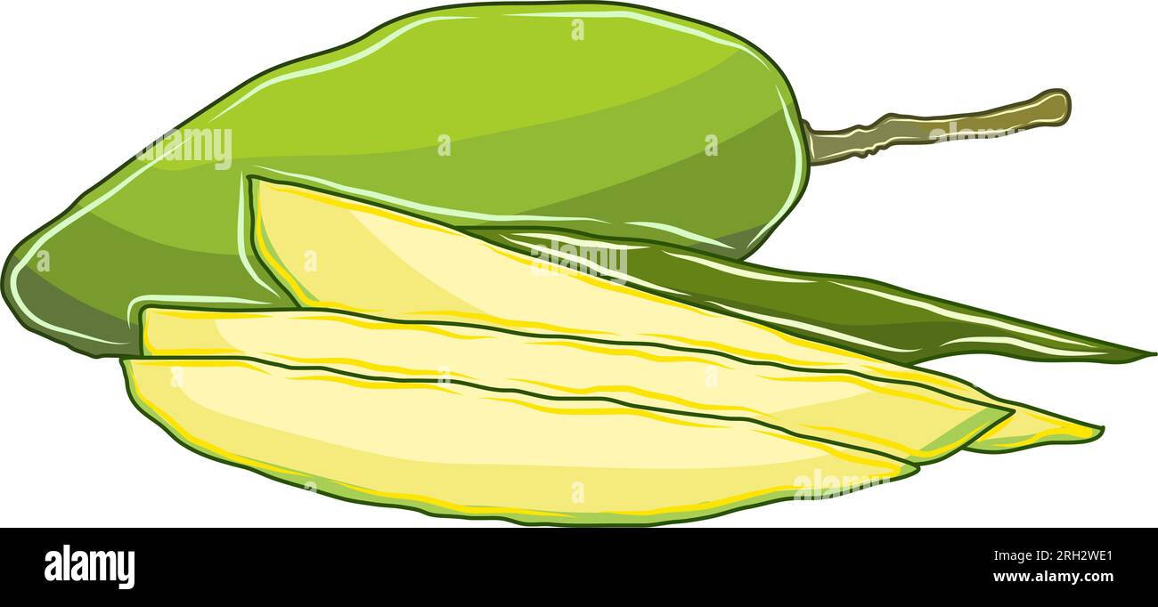 green mango fruit with many pieces of mango placed together Stock Photo ...