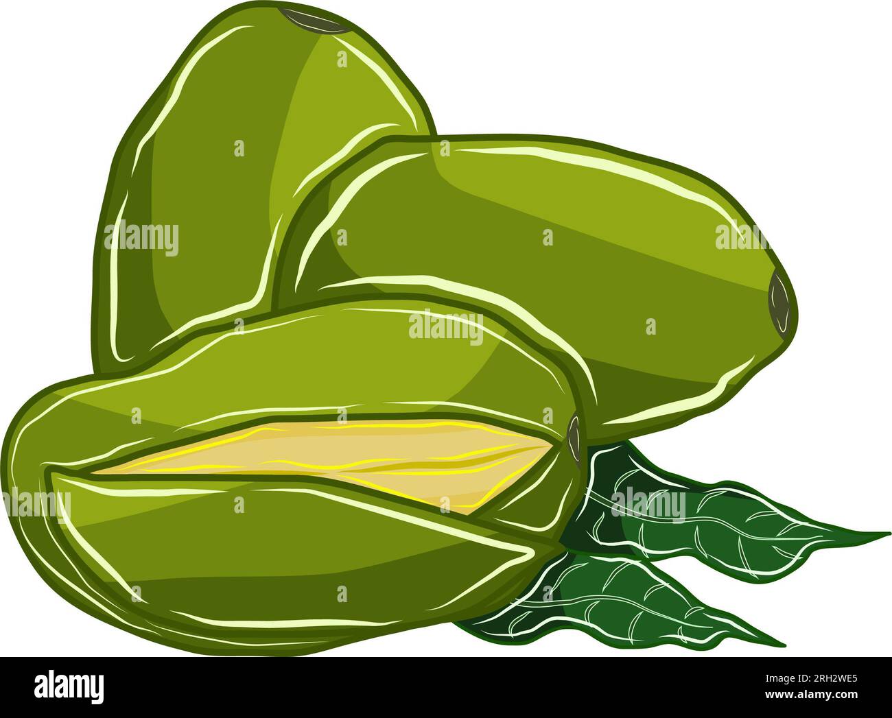 Three dark green mango fruits Stock Photo - Alamy