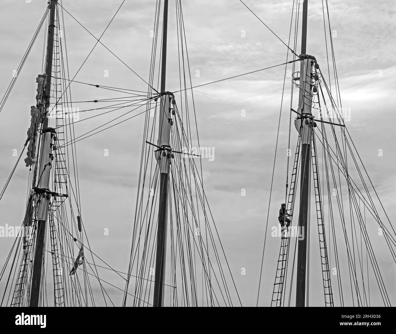 The Oosterchelde, a replica of HMS Beagle berthed at Sutton Harbour ...