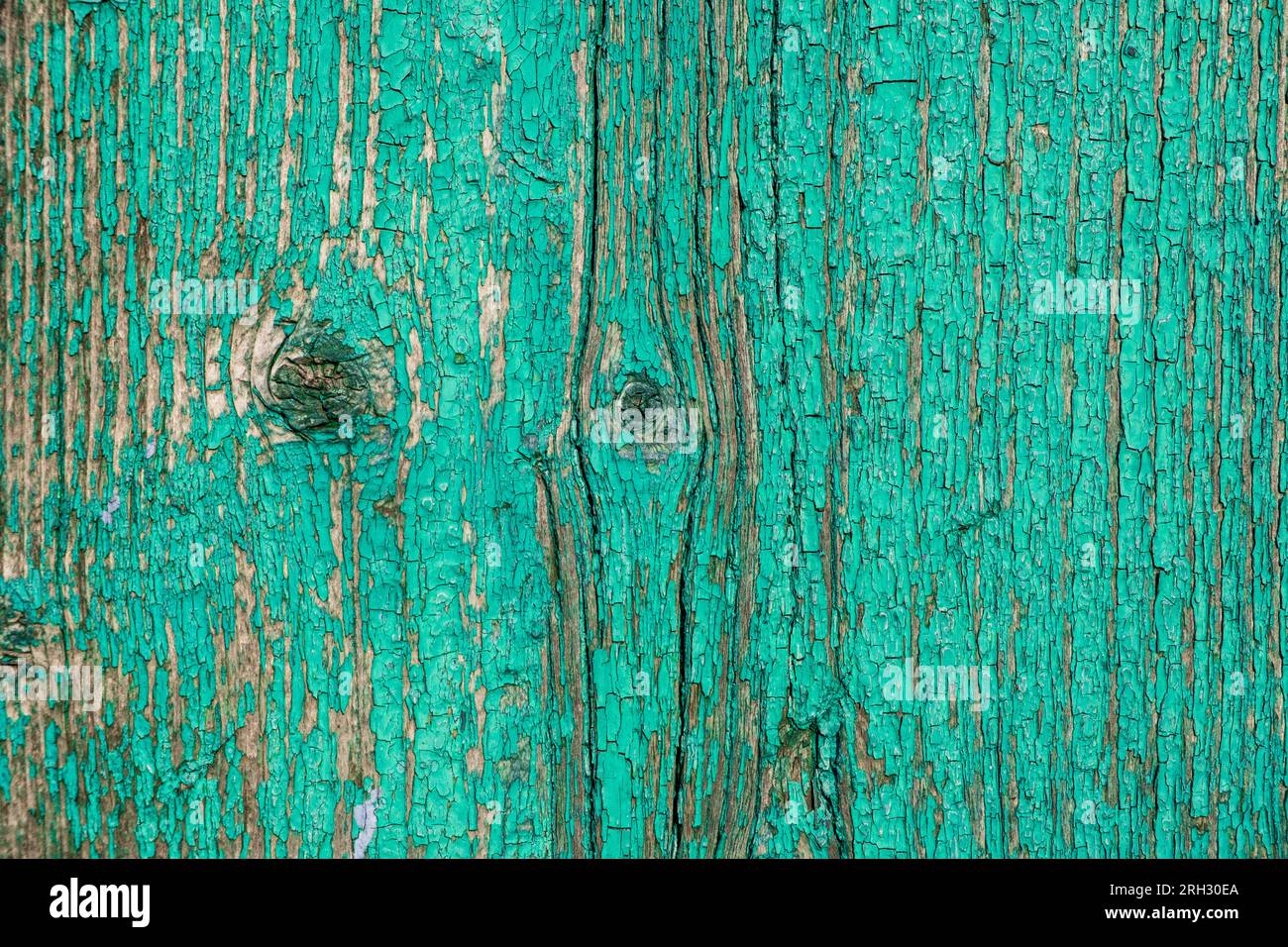 Wood texture with green flaked paint. Peeling paint on weathered wood ...