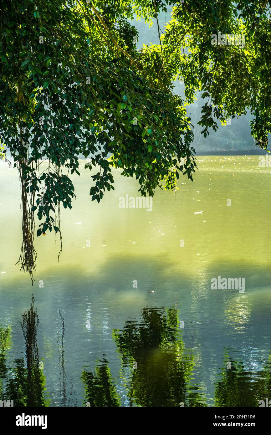Telaga pacuh hi-res stock photography and images - Alamy