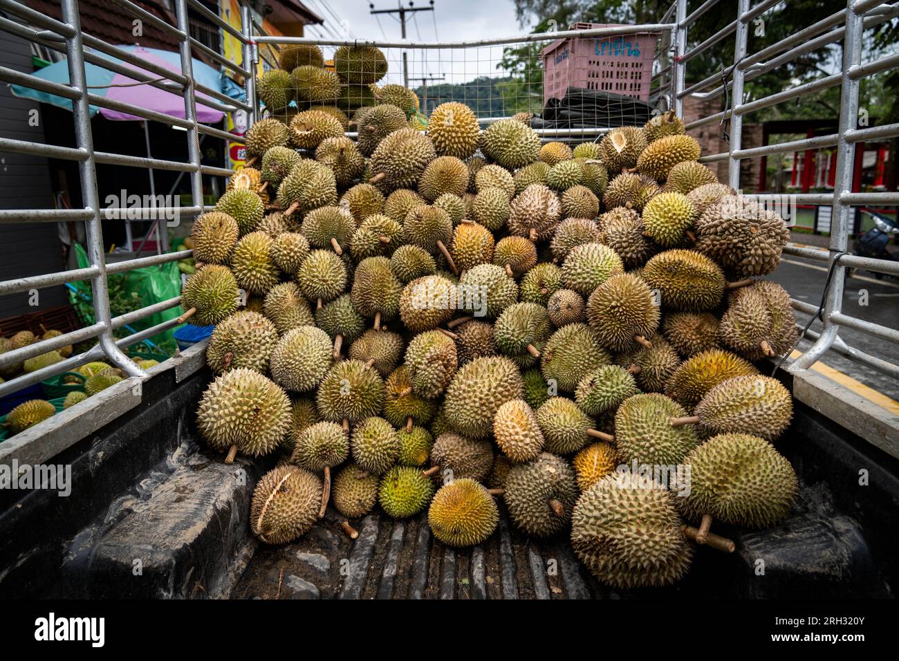 Thai malaysian border hi-res stock photography and images - Alamy
