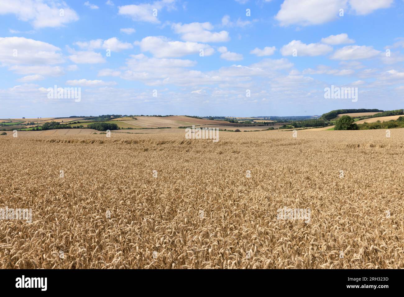 Lincolnshire wolds area hi-res stock photography and images - Alamy