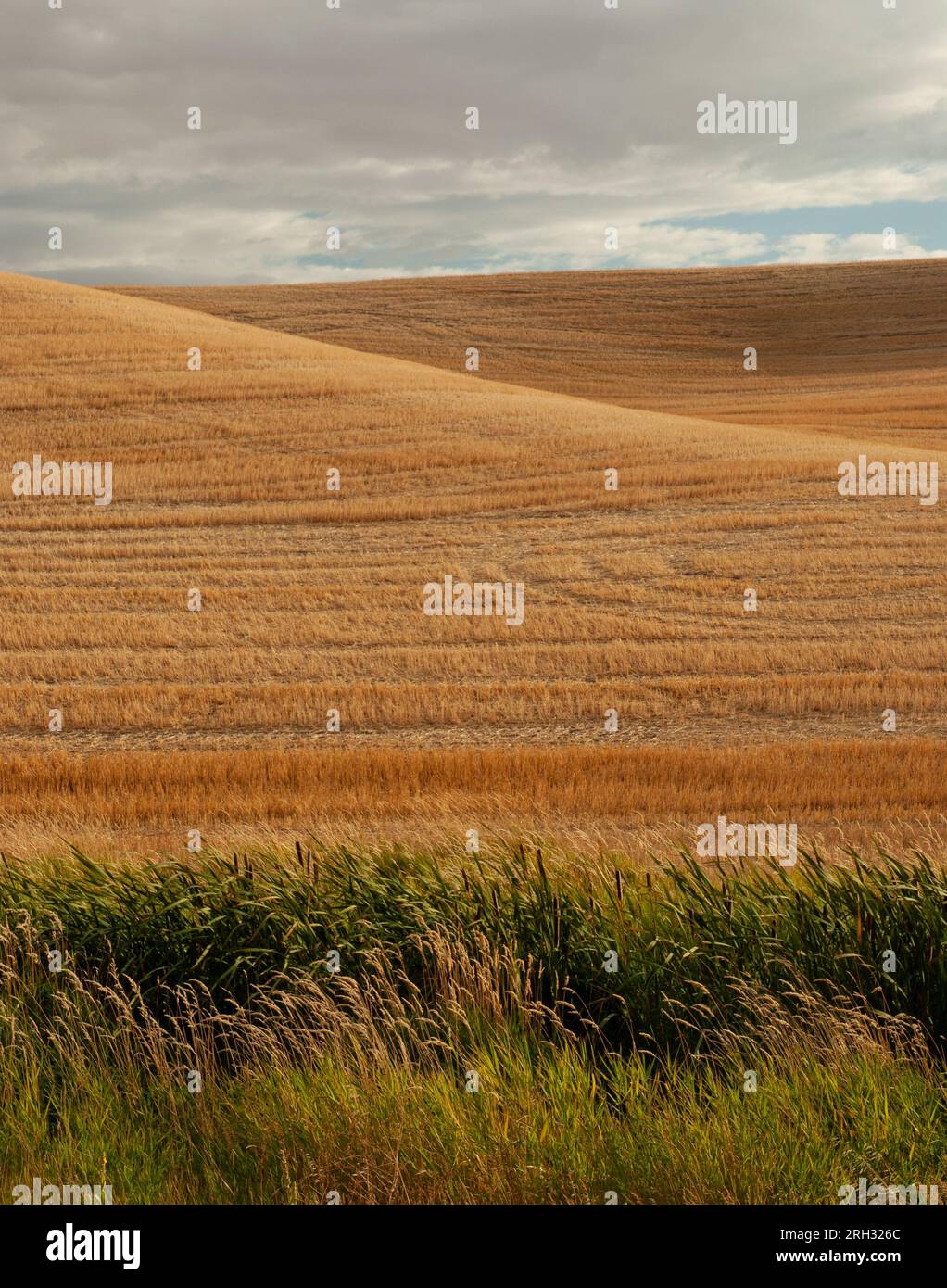 Strip fields hi-res stock photography and images - Alamy