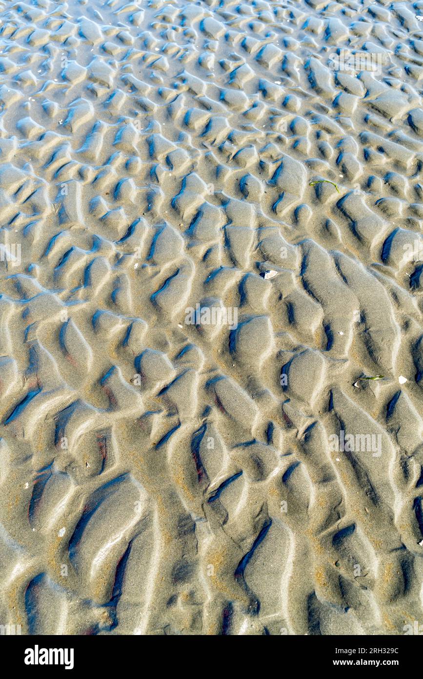 Ocean water has created patterns in the sand at Moclips, Washington ...