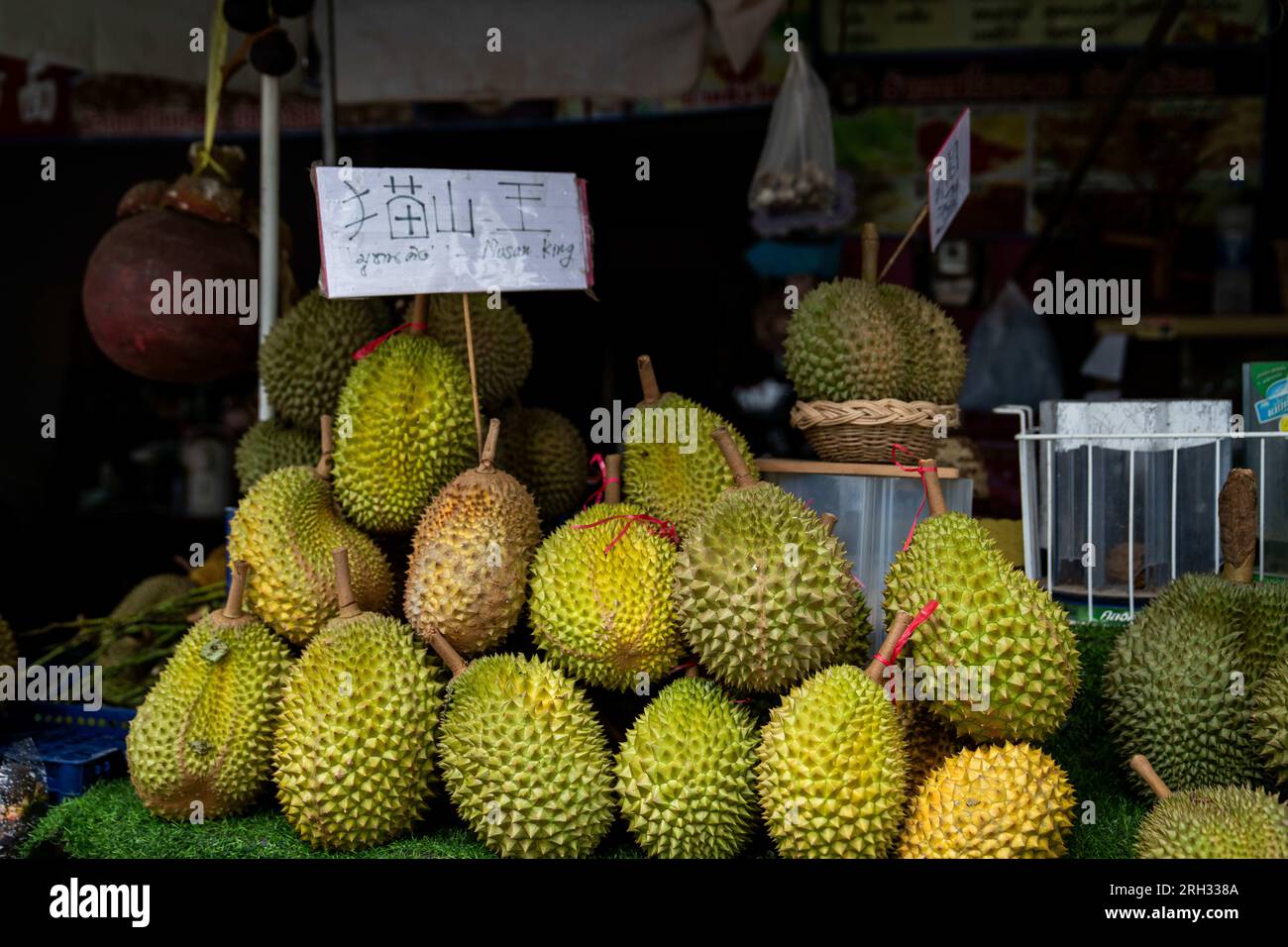 Betong, Thailand. 13th Aug, 2023. Nasan King durian seen for sale at ...