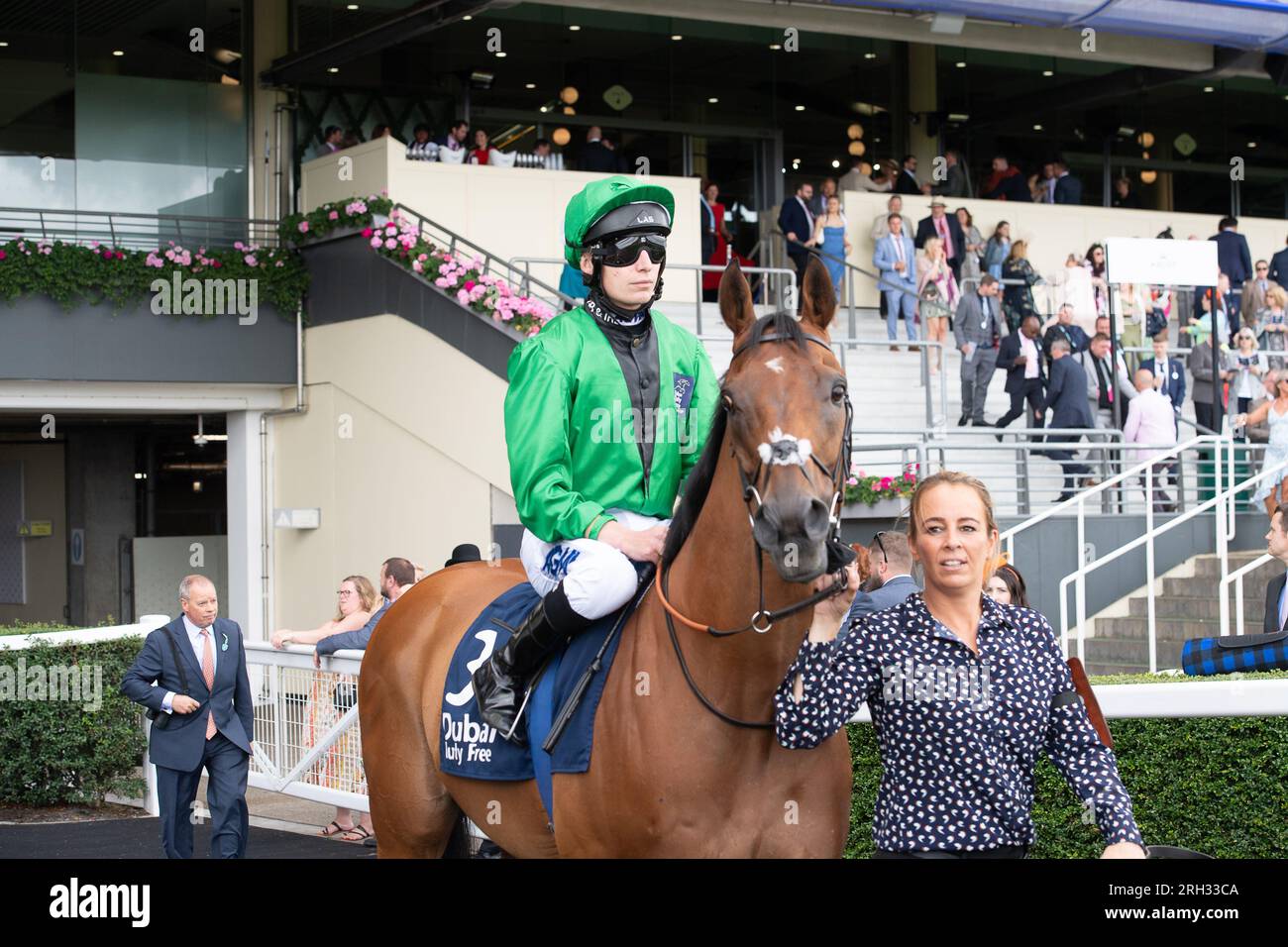 Tis marvellous horse hi-res stock photography and images - Alamy