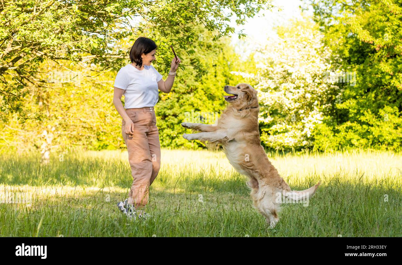 Human Puppy Girls Training