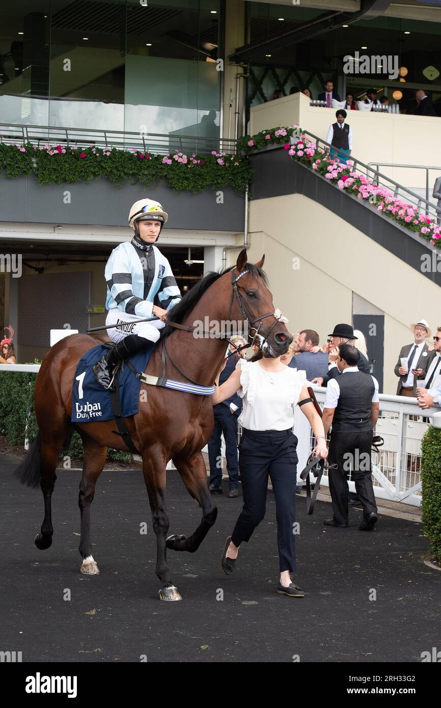 Jockey thore hammer hansen hi-res stock photography and images - Alamy