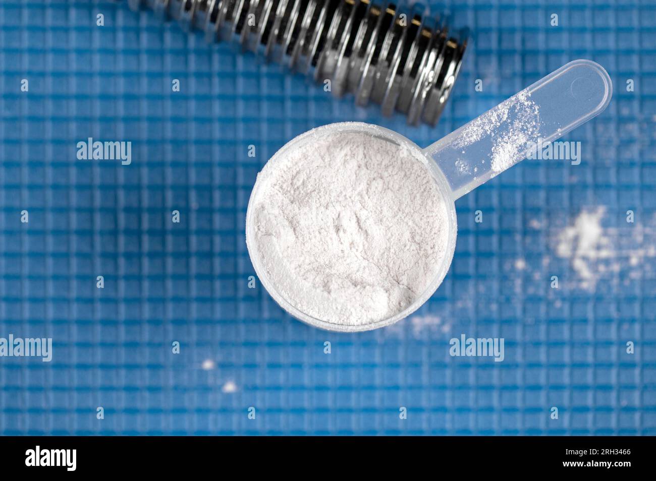 Scoop with white powder protein or gainer as the sports nutrition on ...