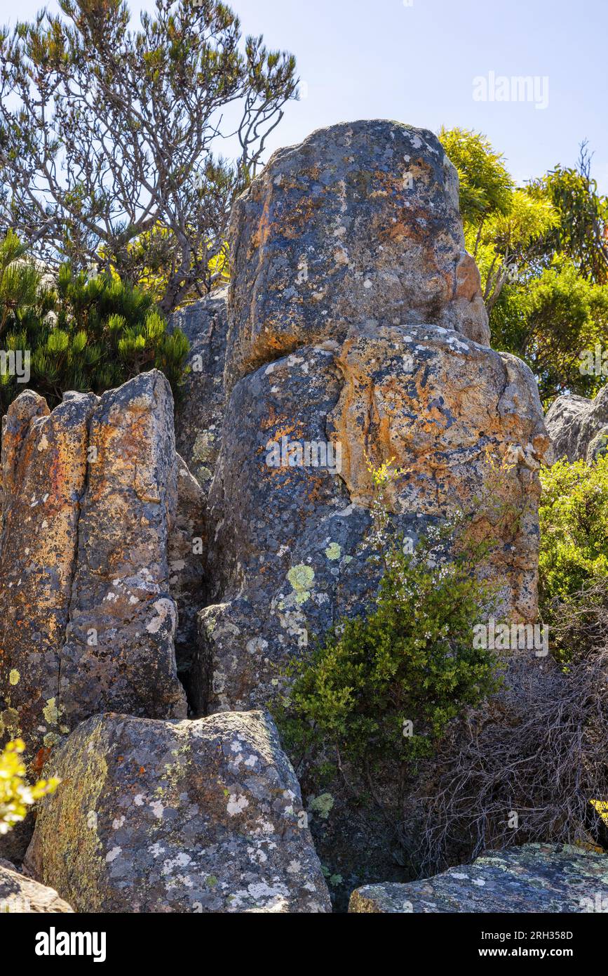The S-type granite of Freycinet National Park. This granite is more ...