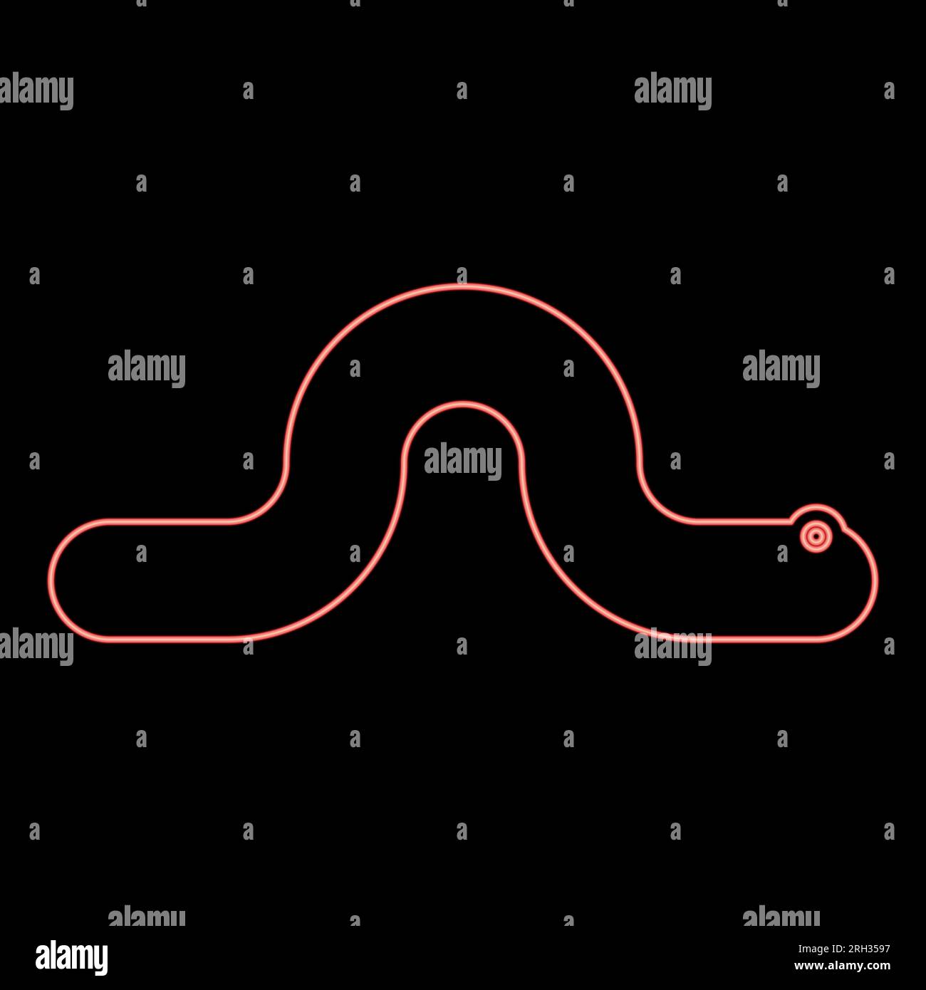 Neon creeping worm earthworm crawling invertebrate creep creature red ...