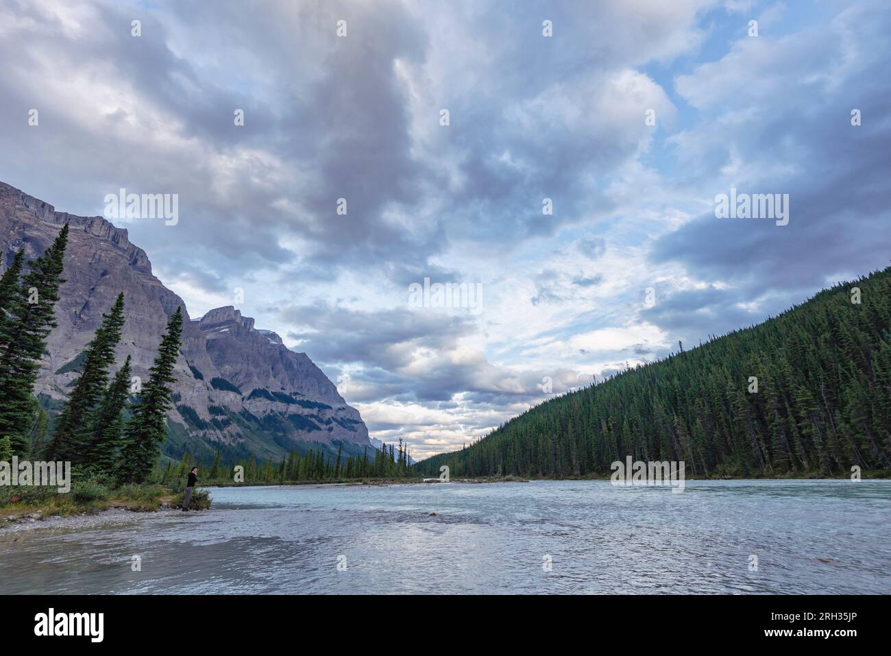A woman stands on the banks of the Kicking Horse river in the town of ...