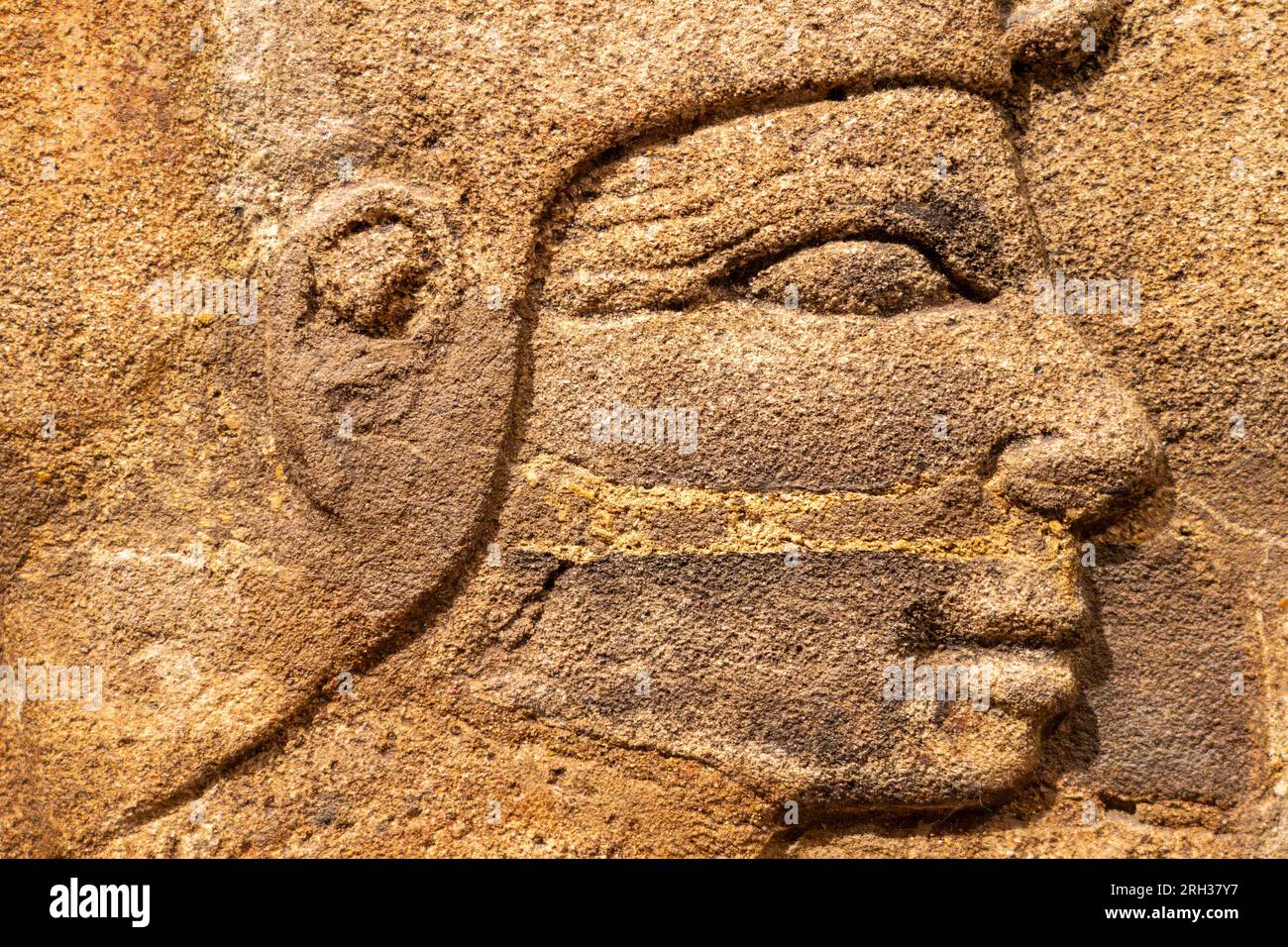 Details on the wall of Pharaoh Taharqa's shrine to Amun-Re, the ...