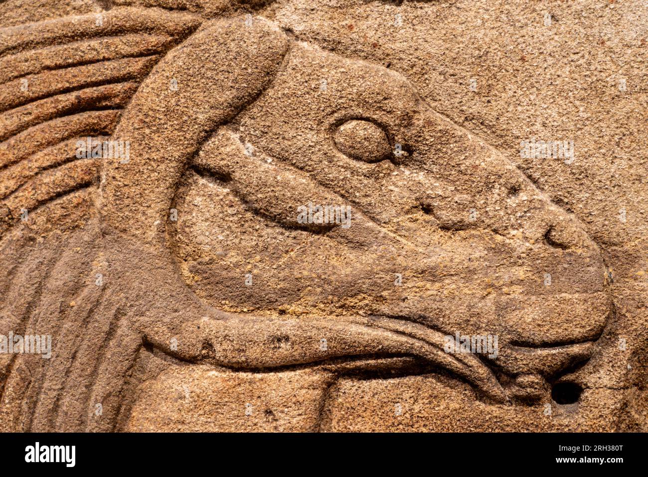 Details on the wall of Pharaoh Taharqa's shrine to Amun-Re, the ...