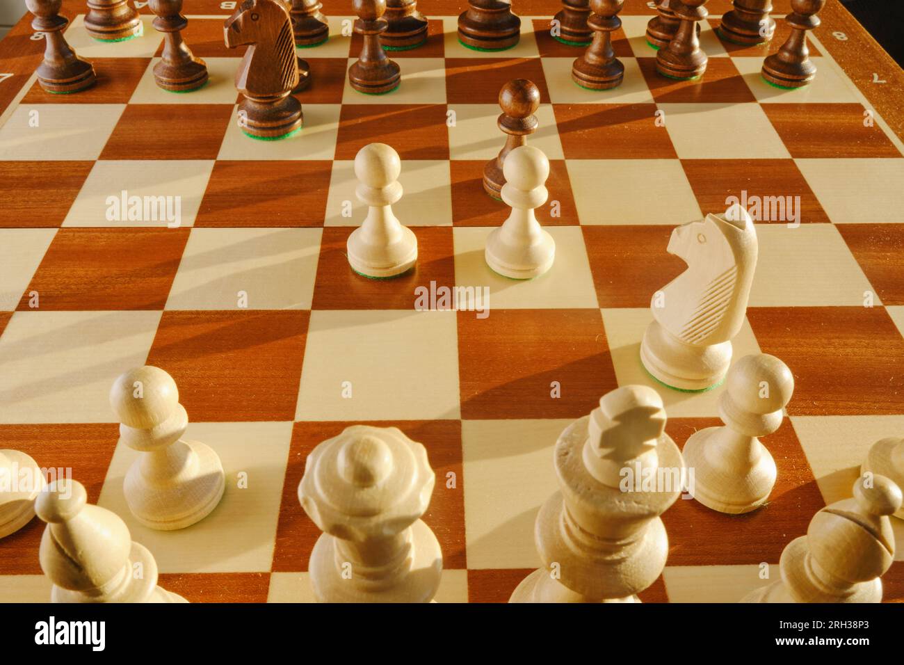 Debut in chess with the name Scottish Party, close up Stock Photo - Alamy