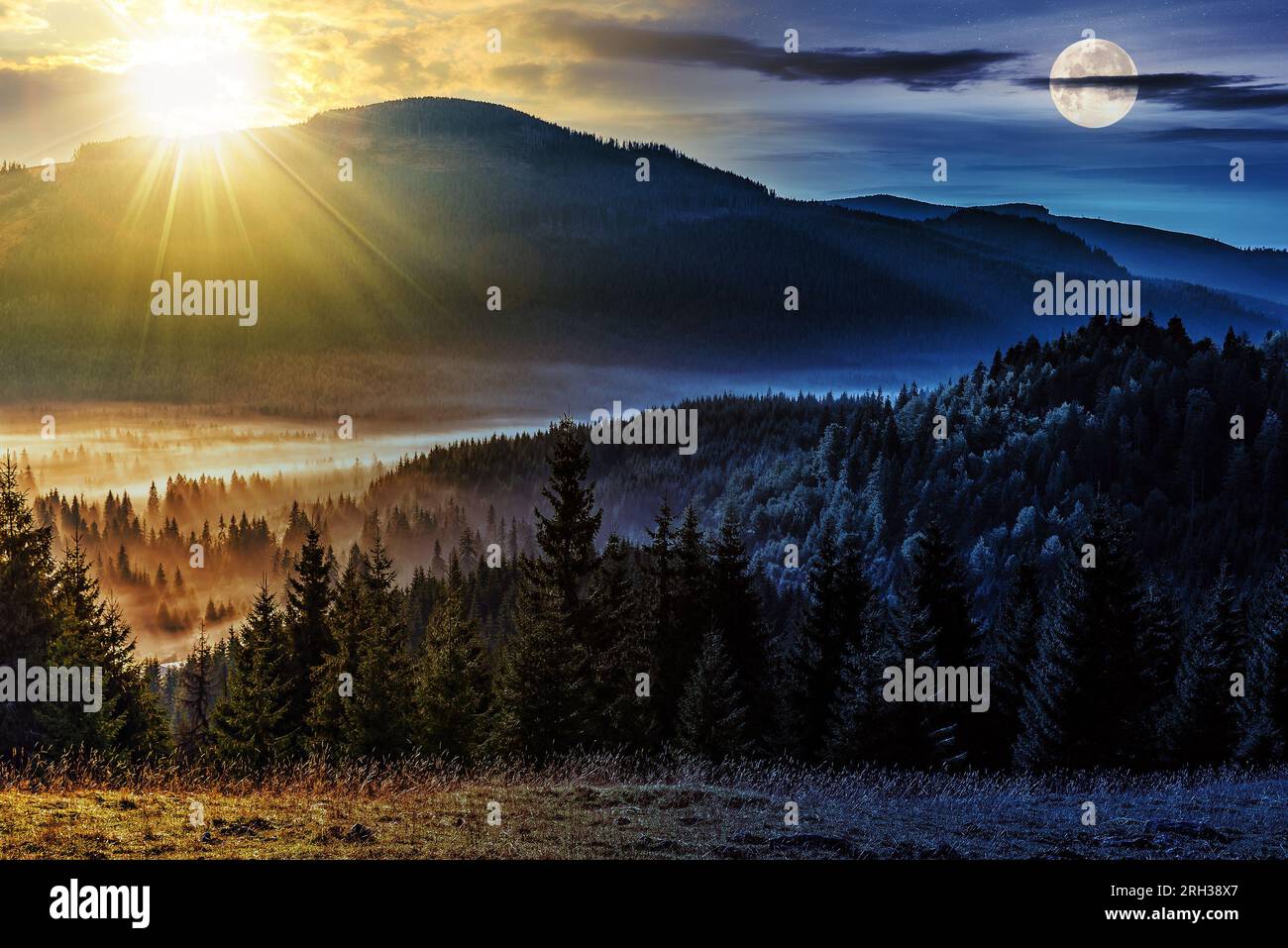 cold fog in spruce forest in mountains with sun and moon at twilight ...