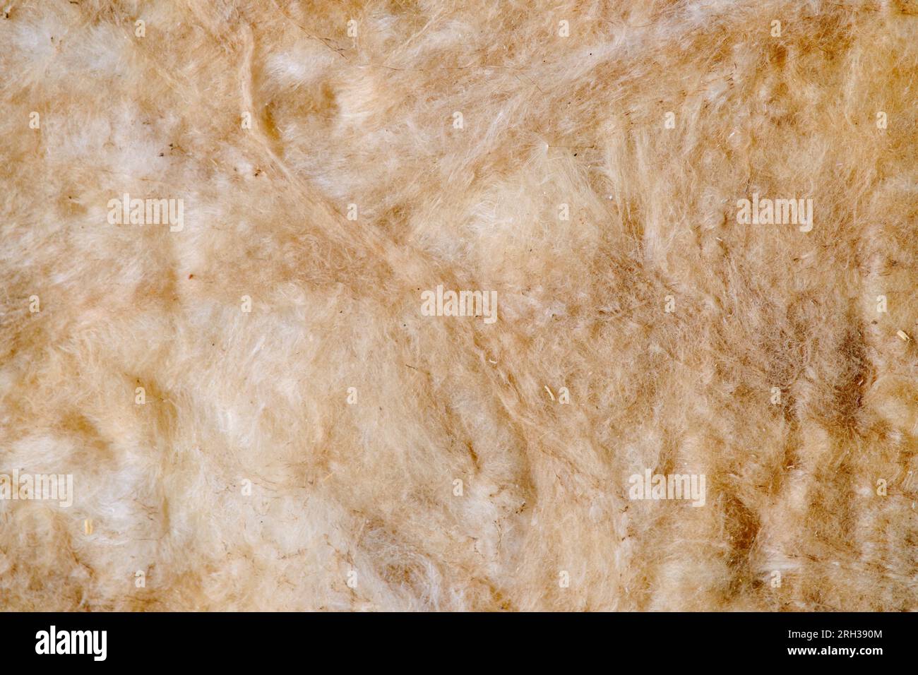 Background of yellow glass wool, texture of insulation material close ...