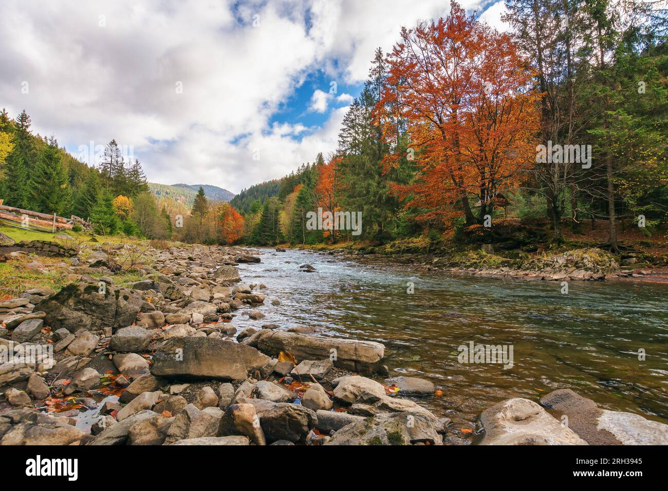 river with rocky shore and trees. beautiful nature landscape in ...